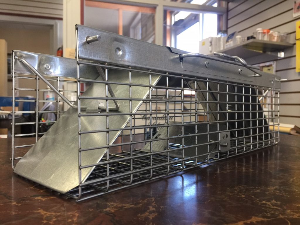 The Complete Live Trapping Guide - Poulin's Pest Control