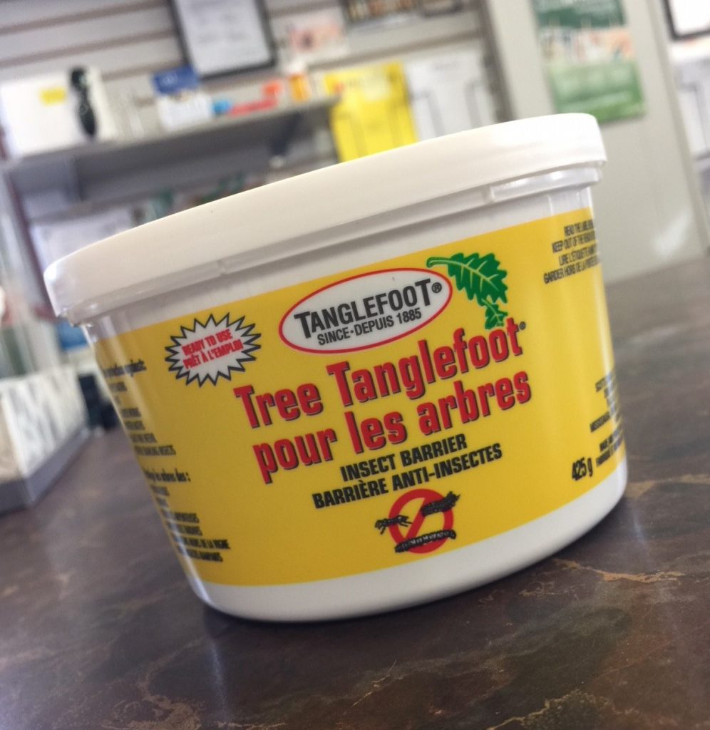 Product Feature: Tree Tanglefoot - Poulin's Pest Control