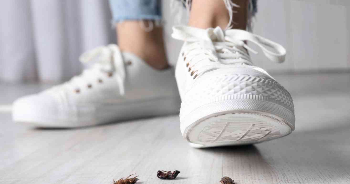 Why Squishing Cockroaches Is a Bad Idea | Poulin’s Pest Control